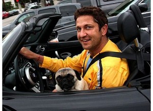 Celebrities with Pugs (with Pics & Videos) - Famous Pug Owners [Updated ...