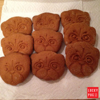 Baker's Guide to Pug Cookies - Gingerbread Pugs | Lucky Pug